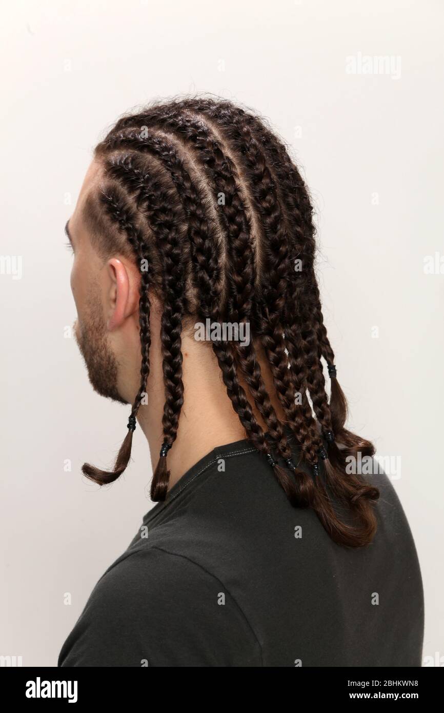 Stylish male model with beard and afro plaits posing in studio. Trends ...