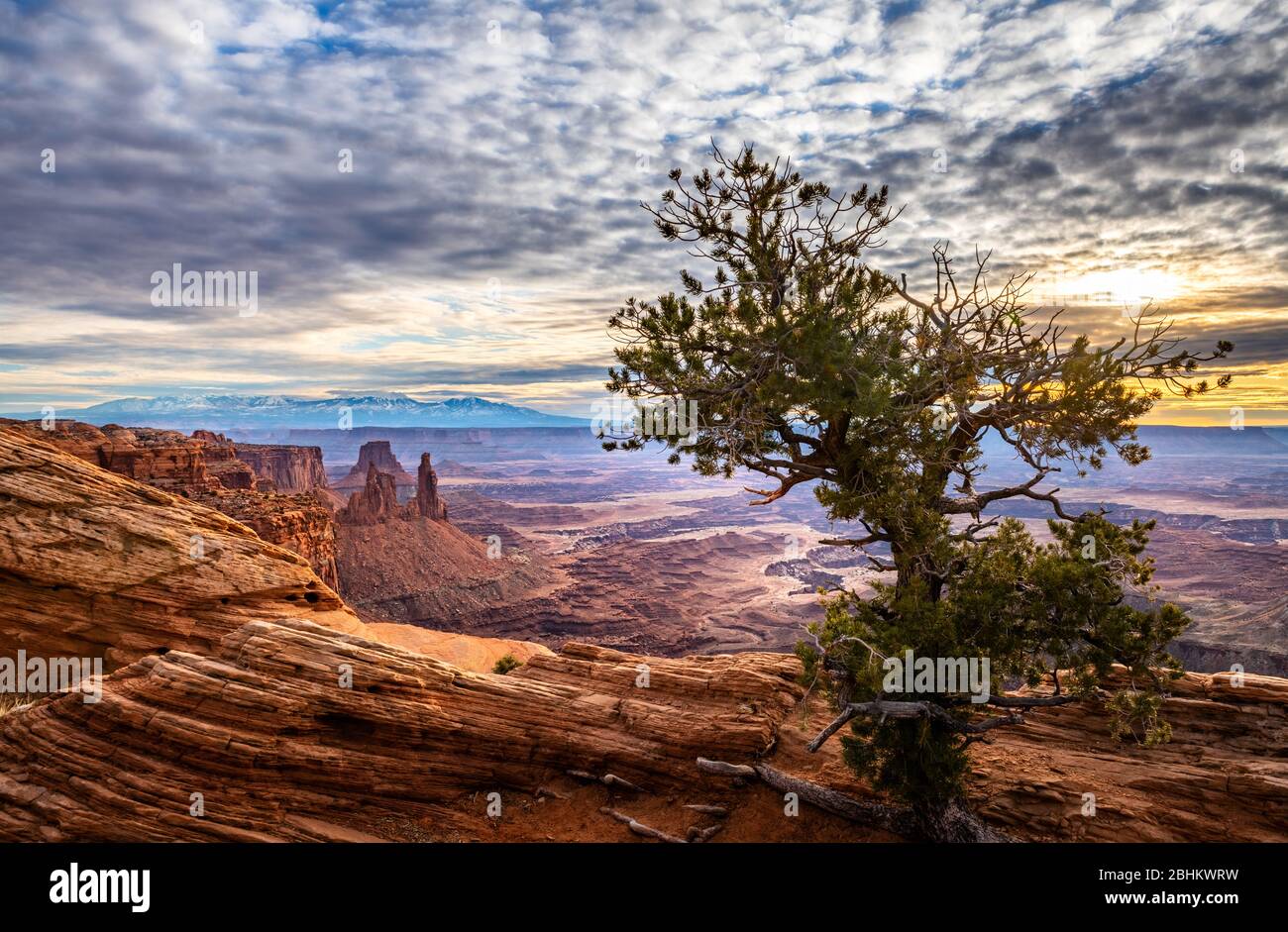 Canyonlands icon hi-res stock photography and images - Alamy