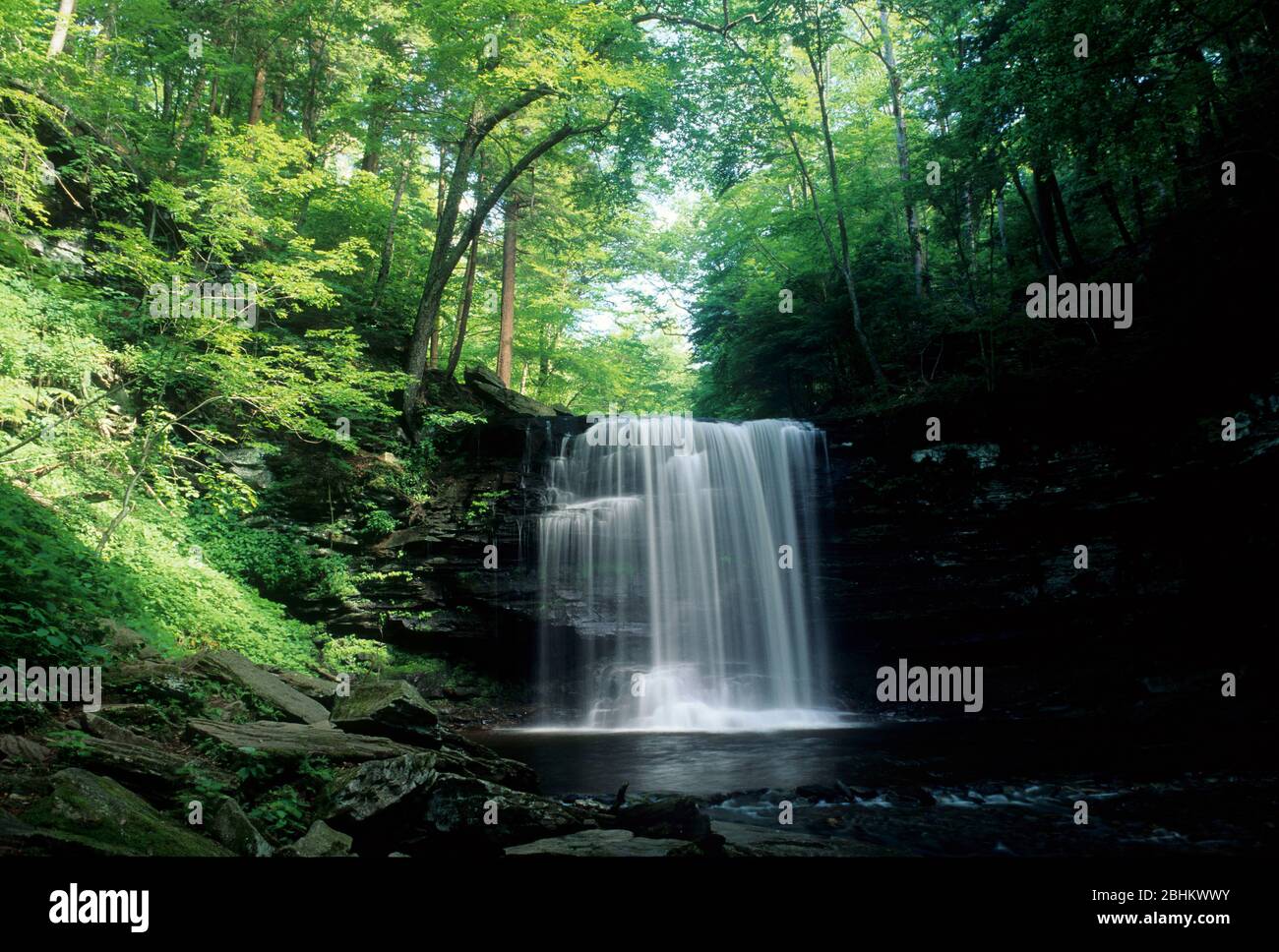 Harrison Wright Falls, Ricketts Glen State Park, Pennsylvania Stock ...