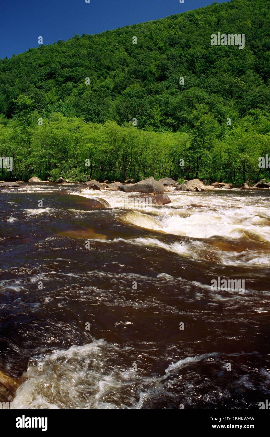 Lehigh River, Lehigh Gorge State Park, Pennsylvania Stock Photo - Alamy