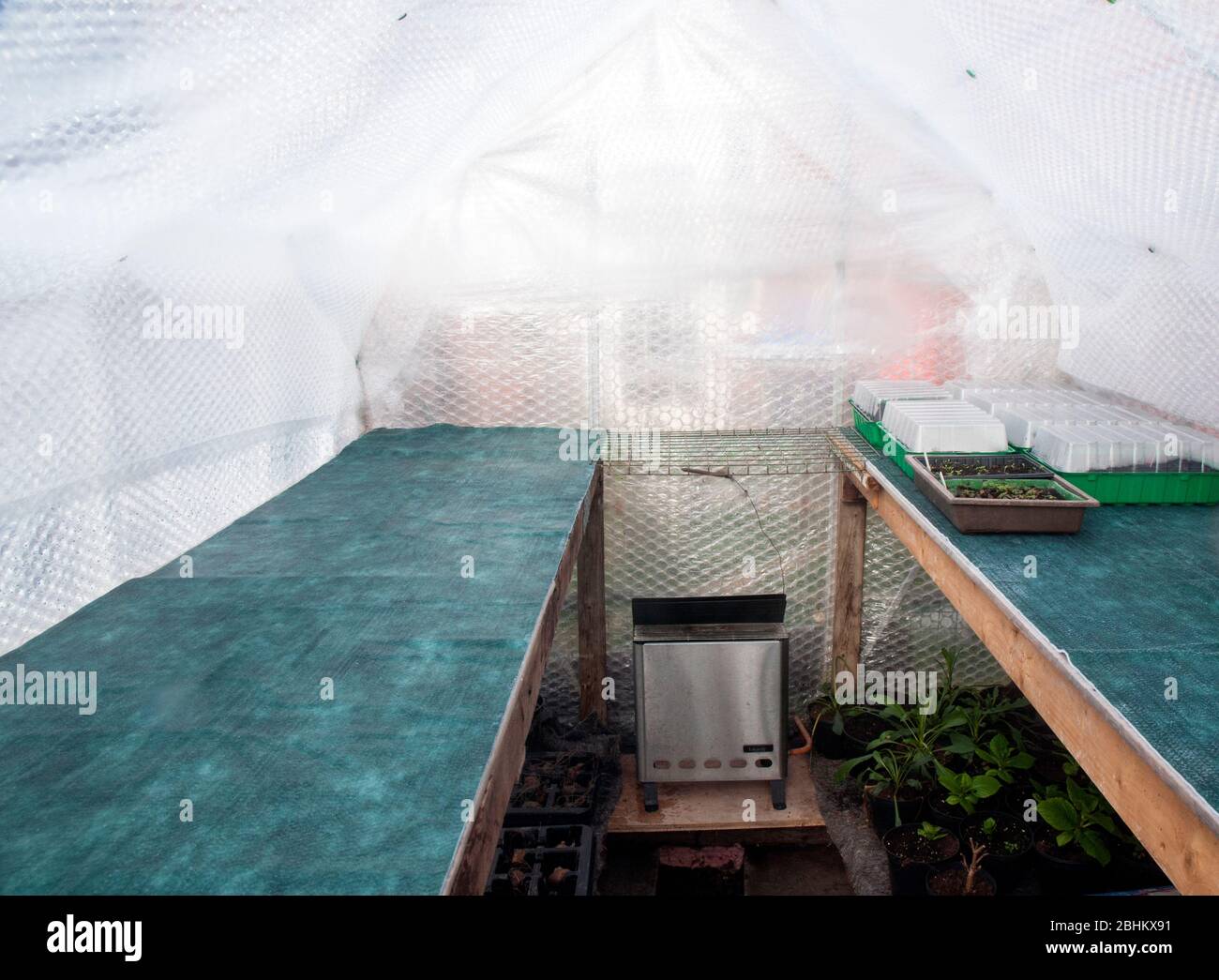 Capillary matting been liad on staging in greenhouse that is insulated ...