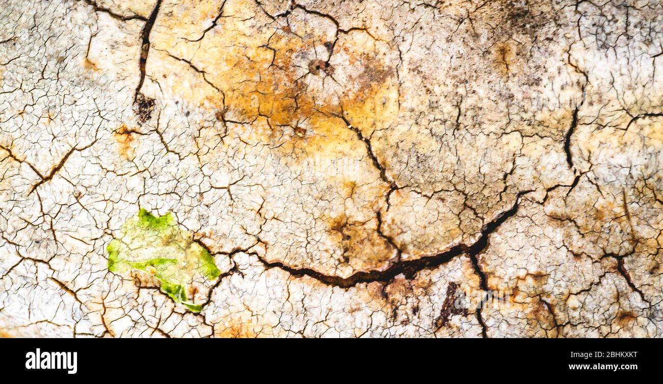 Texture of cracked and rusty metal surface Stock Photo - Alamy