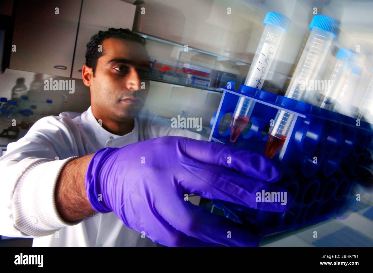 A male laboratory worker pulling a rack of test tubes of a shelve Stock ...