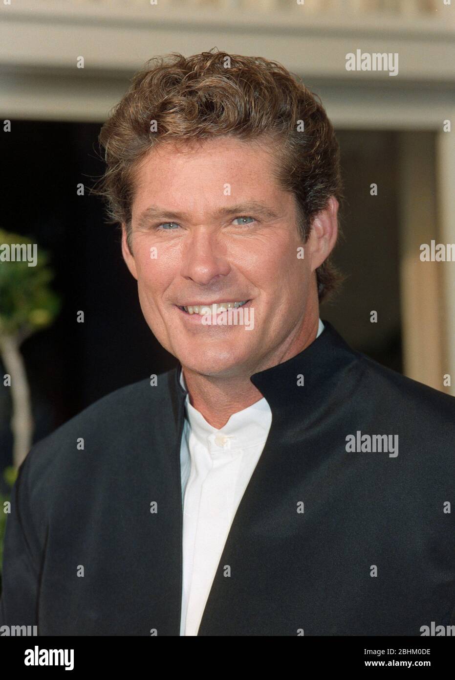David hasselhoff actor hi-res stock photography and images - Alamy