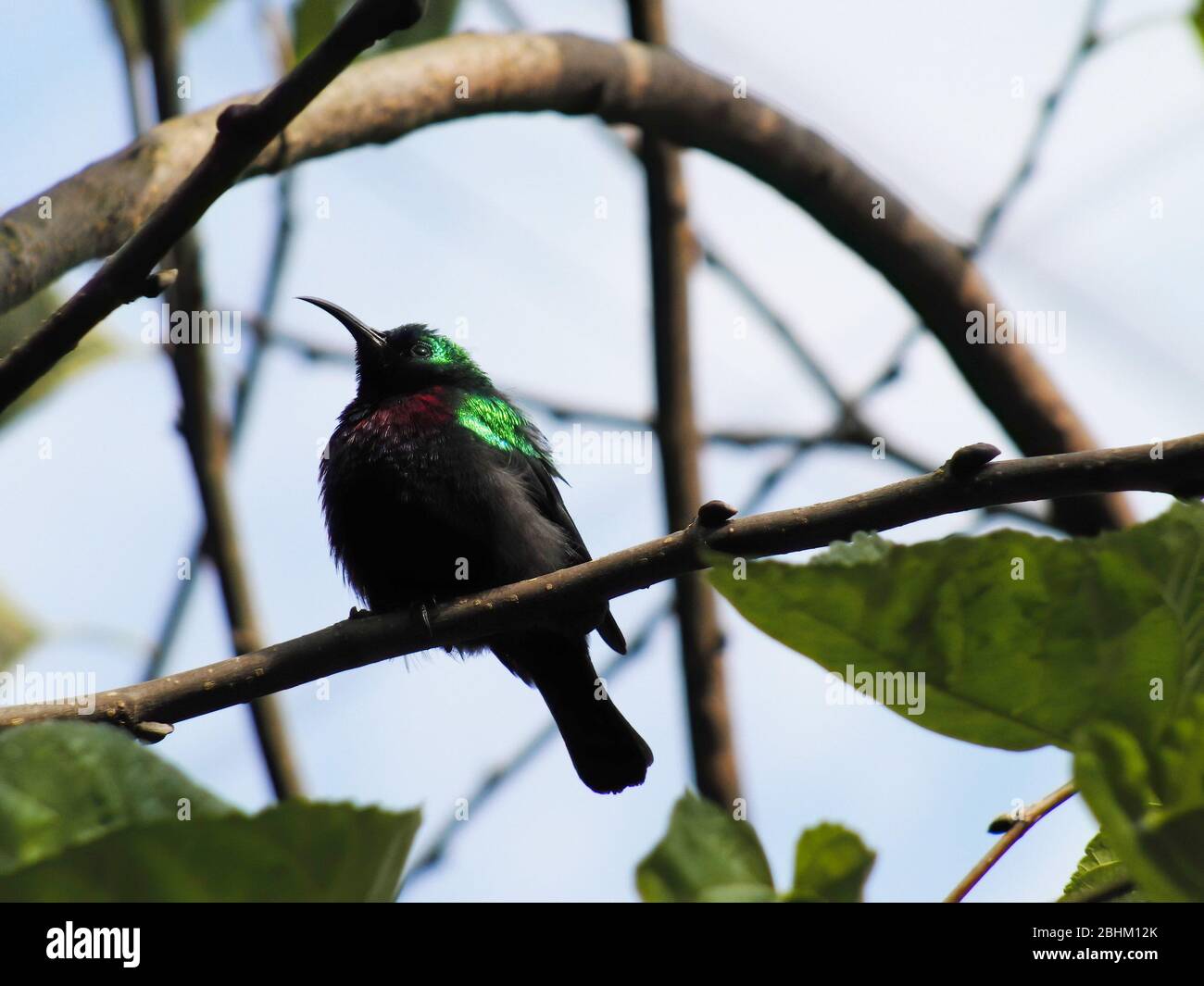 Hsinchu taiwan hi-res stock photography and images - Alamy