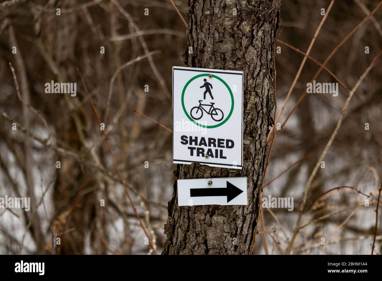 A sign nailed to a tree branch marks a trail shared by hikers on foot ...