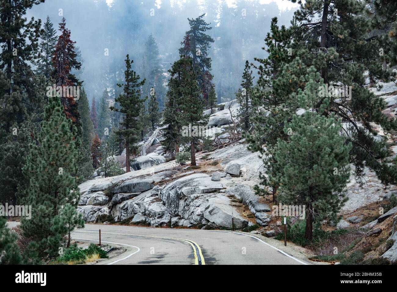 Road curve on the way to Sequoia national park Stock Photo - Alamy