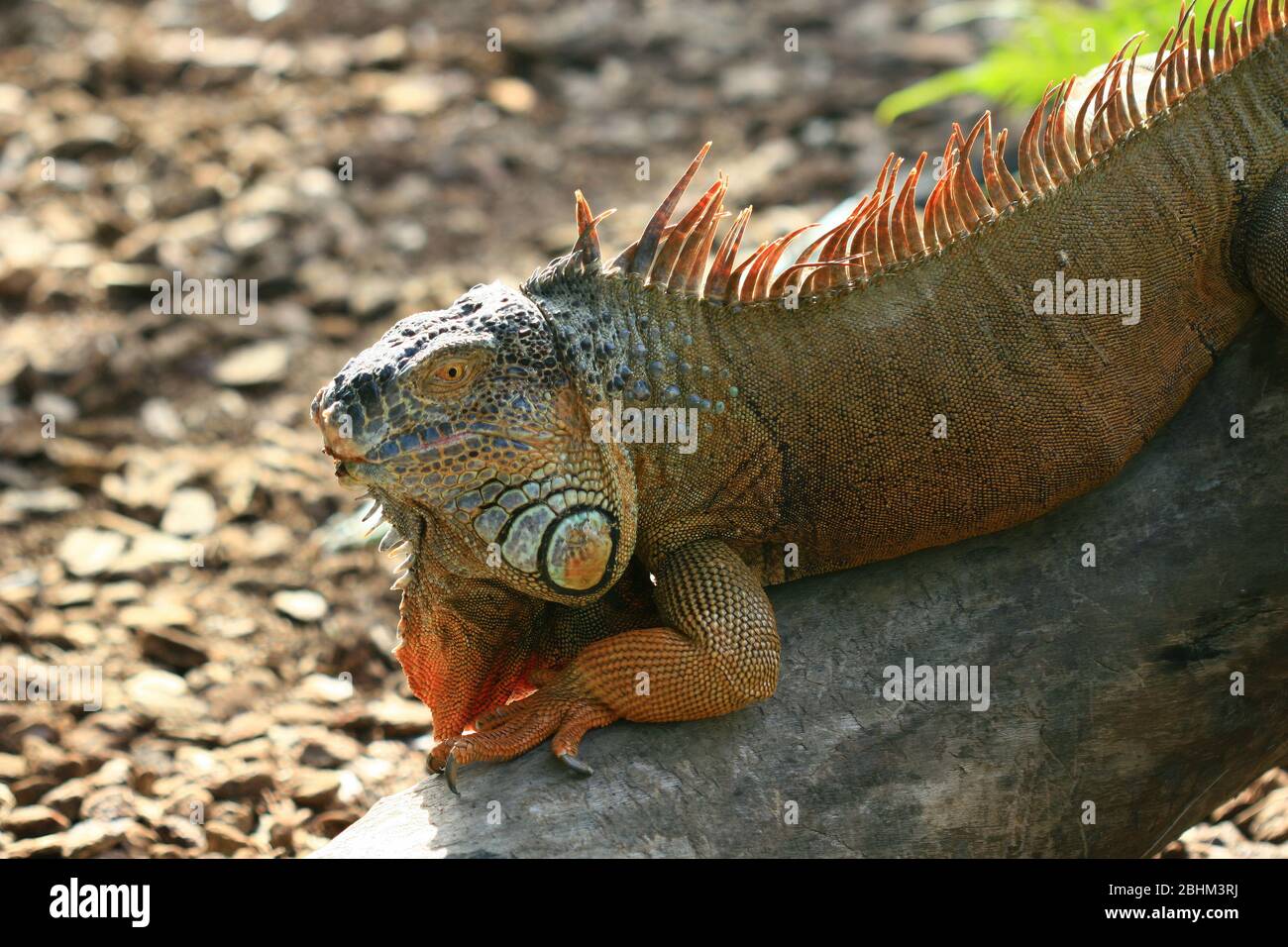 Hsinchu, taiwan hi-res stock photography and images - Alamy