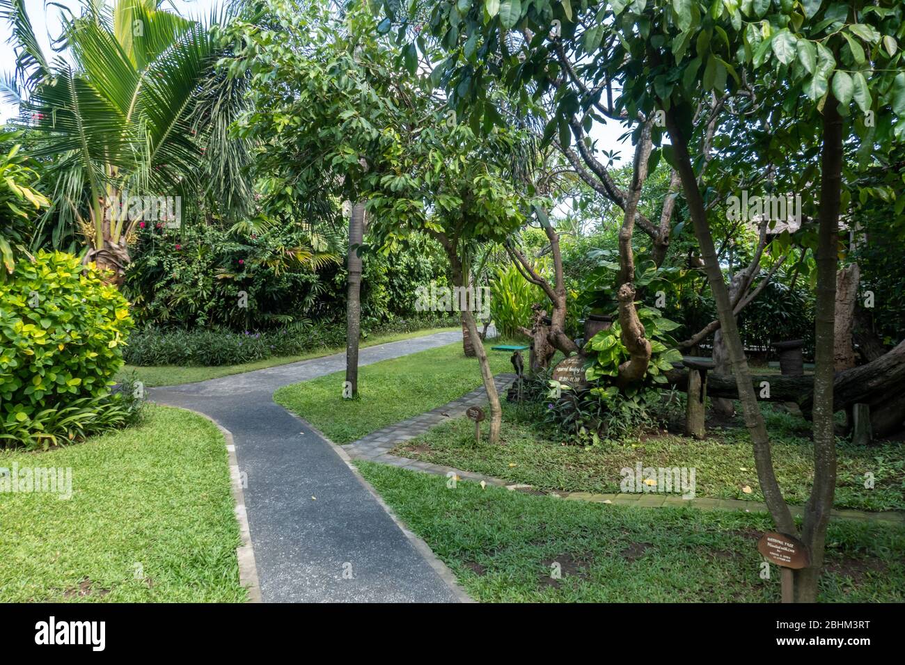 Paved road through reserve hi-res stock photography and images - Alamy