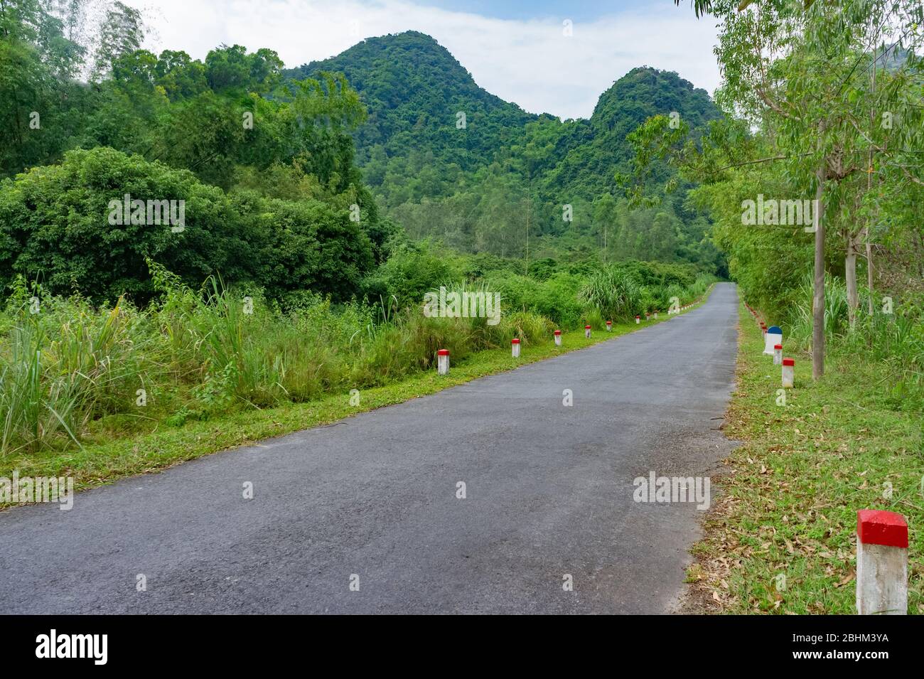 Jungle paradise landscape tropical country hi-res stock photography and ...