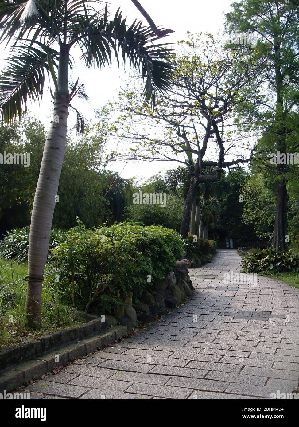 Morning view of the Taipei Botanical Garden at Taipei, Taiwan Stock ...