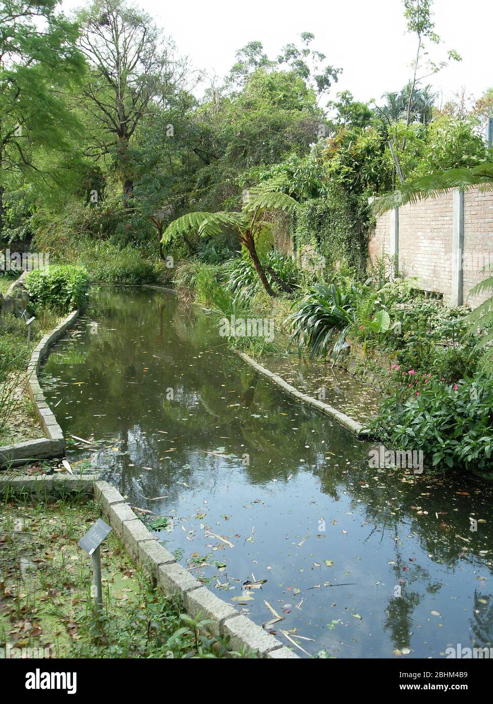 River landscape in the Taipei Botanical Garden at Taipei, Taiwan Stock ...