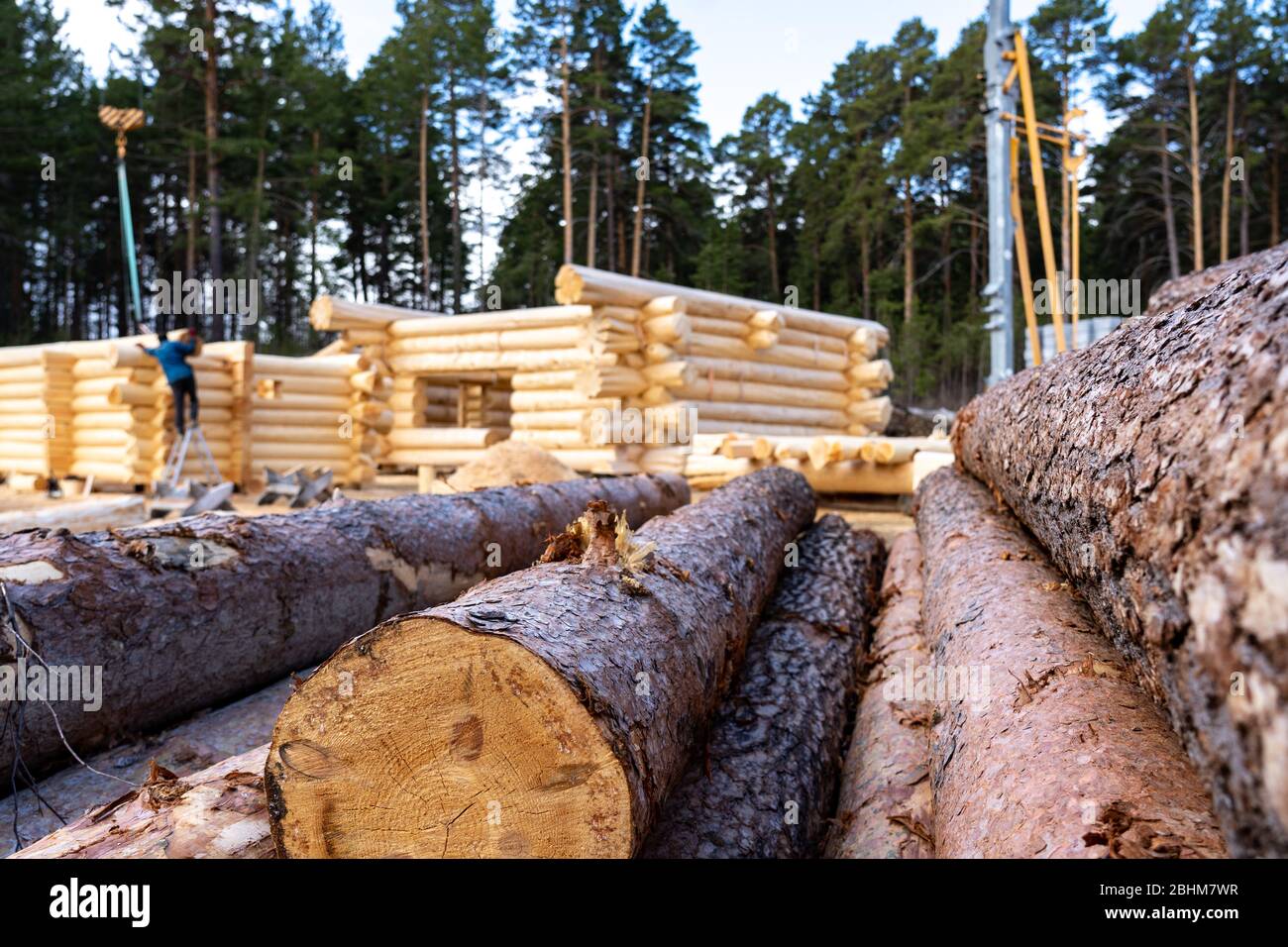 Build a house from logs. Preparation of logs for the assembly of the ...