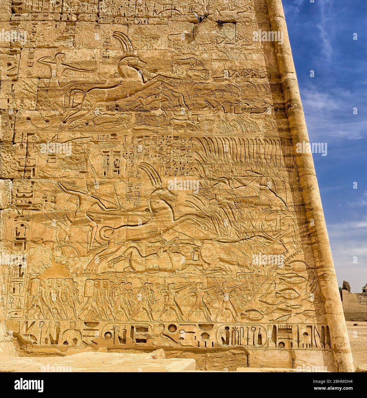 Rameses chariot hi-res stock photography and images - Alamy