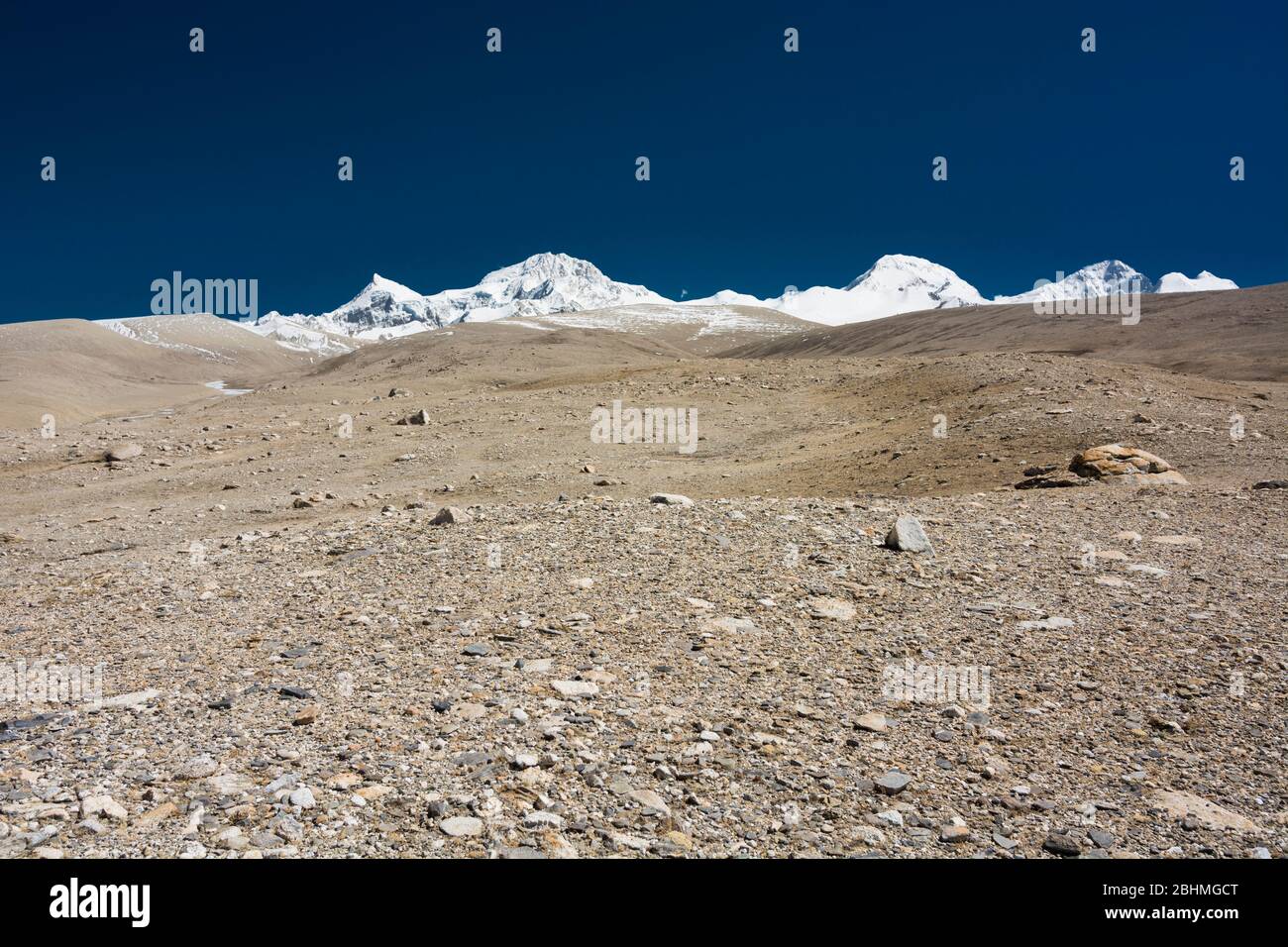 The montane grasslands at Shishapagma base camp, Tibet Stock Photo - Alamy