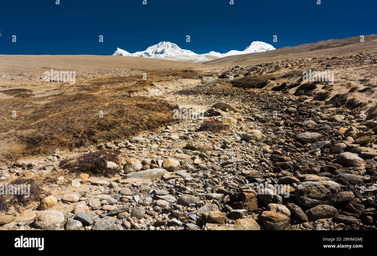 The montane grasslands at Shishapagma base camp, Tibet Stock Photo - Alamy