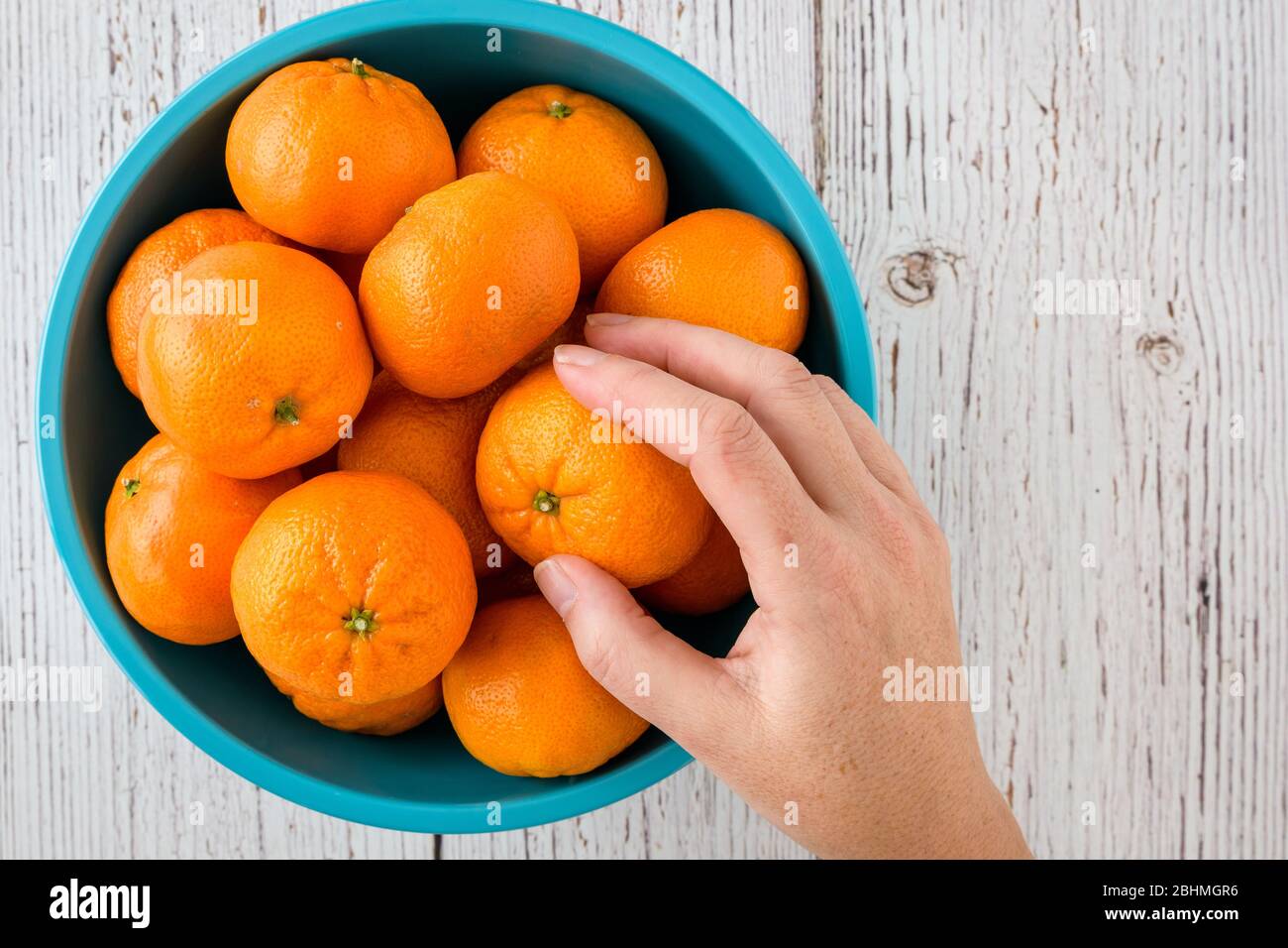 Small clementine oranges in a blue bowl, with a woman’s hand reaching ...