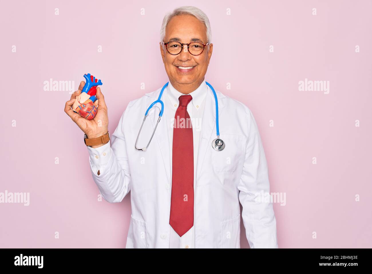 Middle age senior grey-haired cardiologist doctor man holding ...