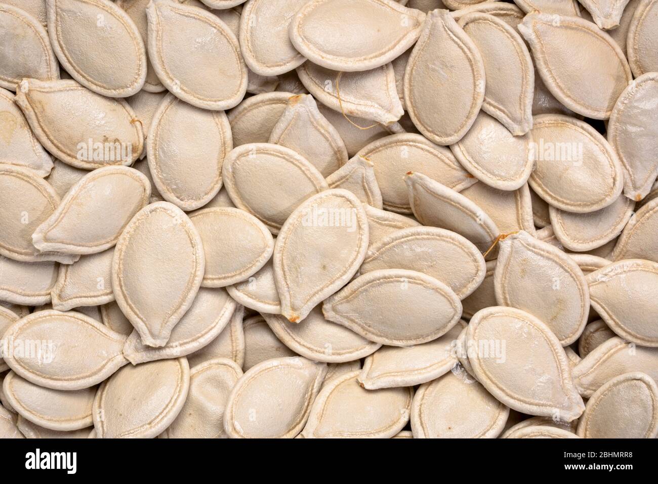 closeup background and texture of raw pumpkin seeds in shells, top view ...