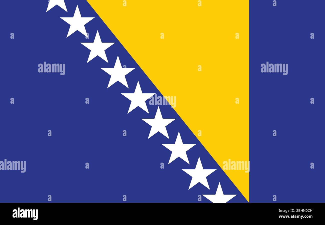 Bosnia and Herzegovina flag vector graphic. Rectangle Bosniak flag ...