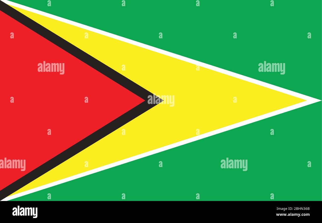 Guyana flag vector graphic. Rectangle Guyanese flag illustration ...