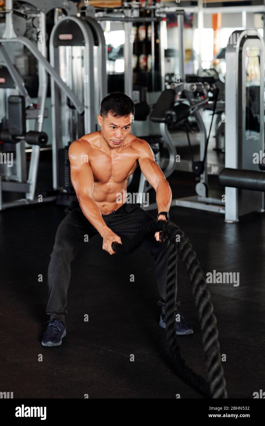 Strong shirtless Vietnamese man training with battle ropes in gym as ...