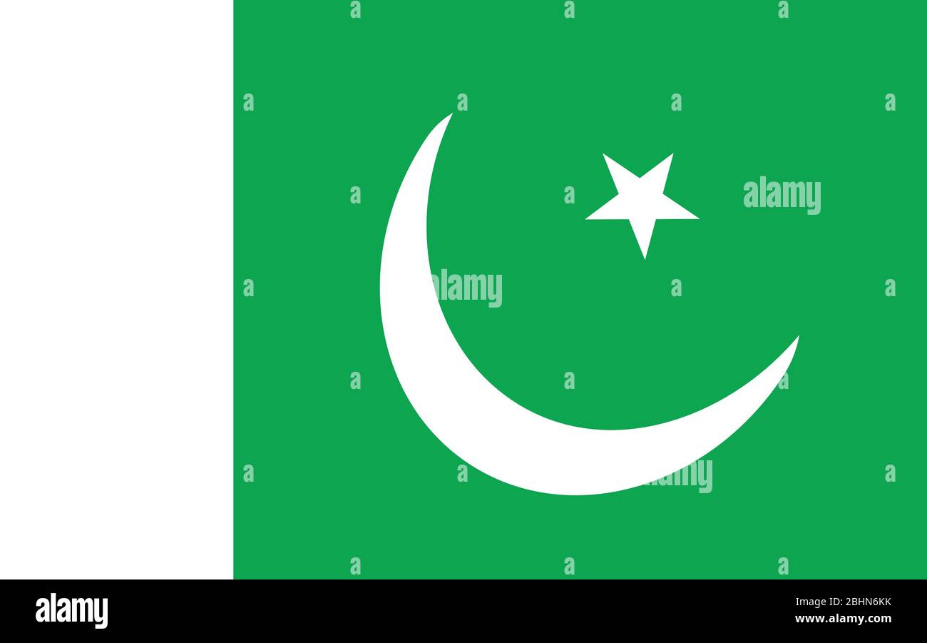 Pakistan flag vector graphic. Rectangle Pakistani flag illustration ...