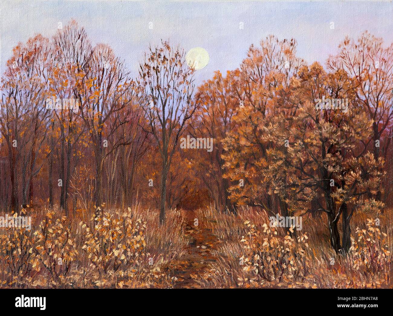Footpath in autumn forest. Rural landscape with moon on evening. Lot of ...