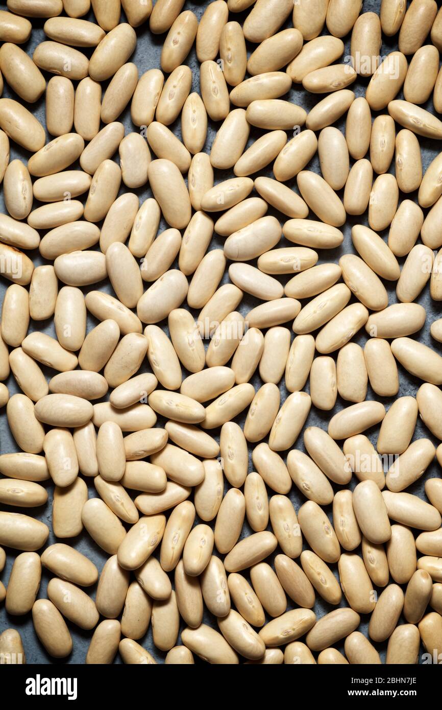 White haricot beans on a stone table Stock Photo - Alamy