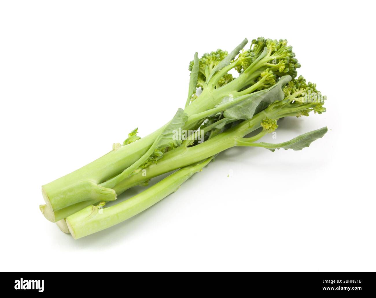 broccolini baby broccoli isolated on white Stock Photo - Alamy