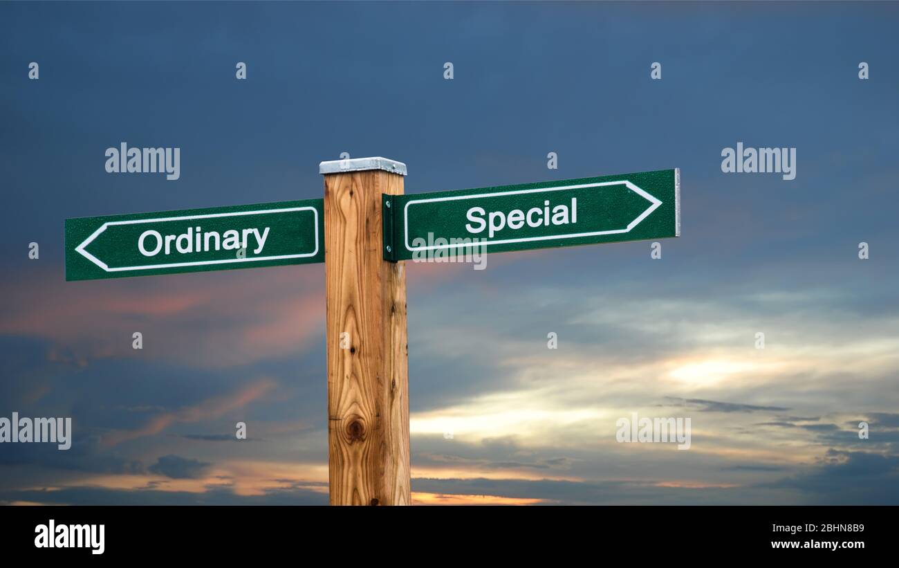 Street Sign the Direction Way to Special versus Ordinary Stock Photo ...
