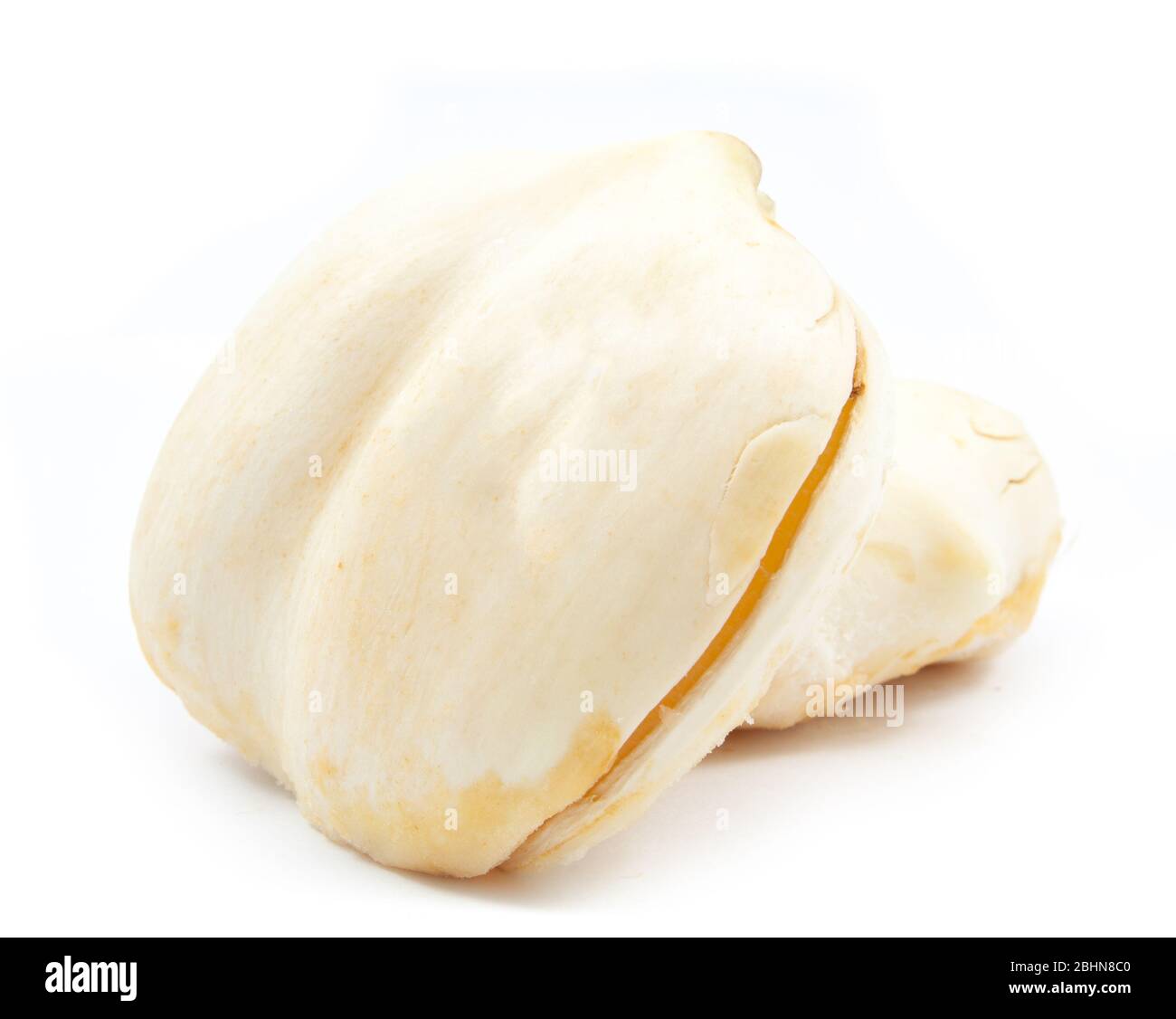 fresh toddy palm isolated on white background Stock Photo - Alamy