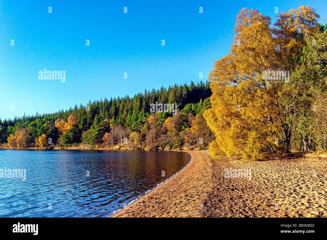 The northern shore of Loch Morlich with line of trees behind the beach ...