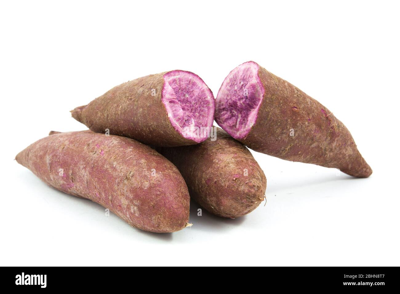 tapioca plants cassava closeup isolated on white background Stock Photo ...