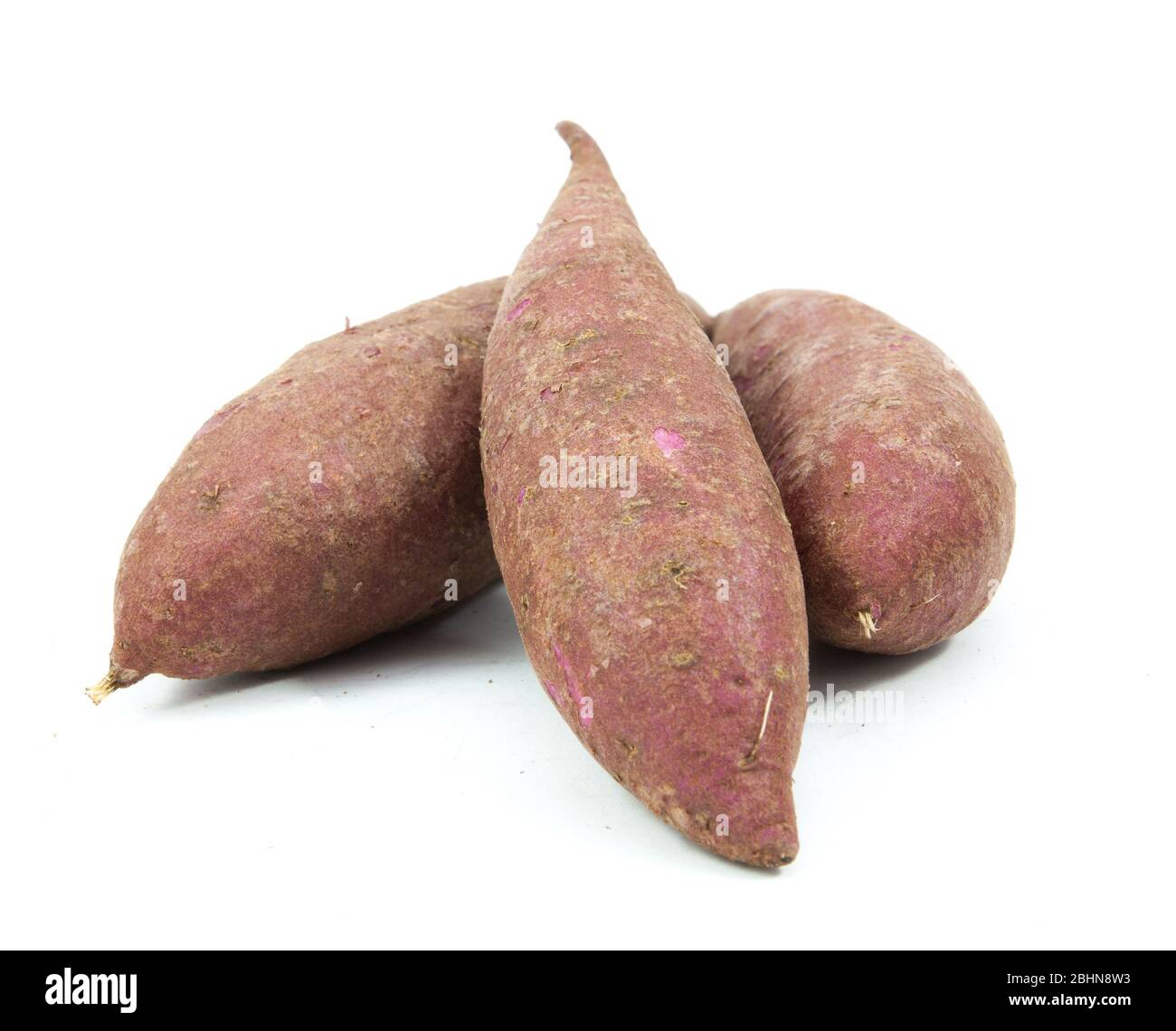 tapioca plants cassava closeup isolated on white background Stock Photo ...