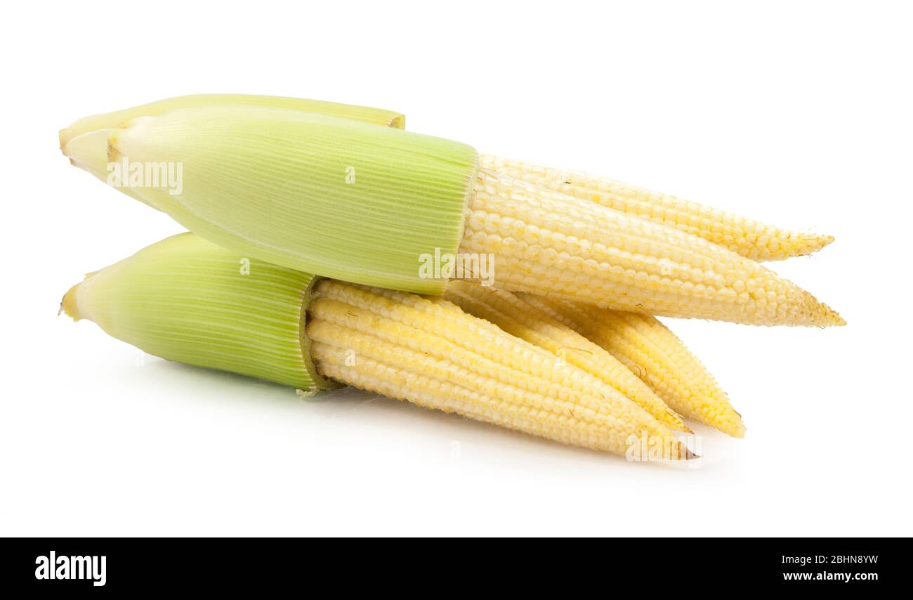 baby corn isolated on white background Stock Photo - Alamy
