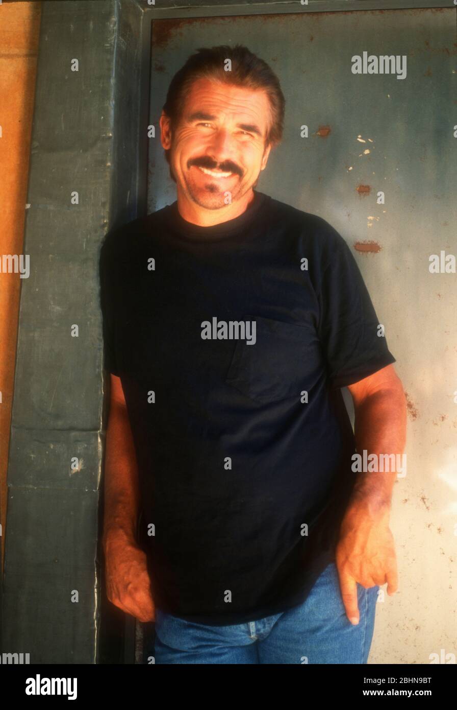 Los Angeles, California, USA 12th September 1995 (Exclusive) Actor ...