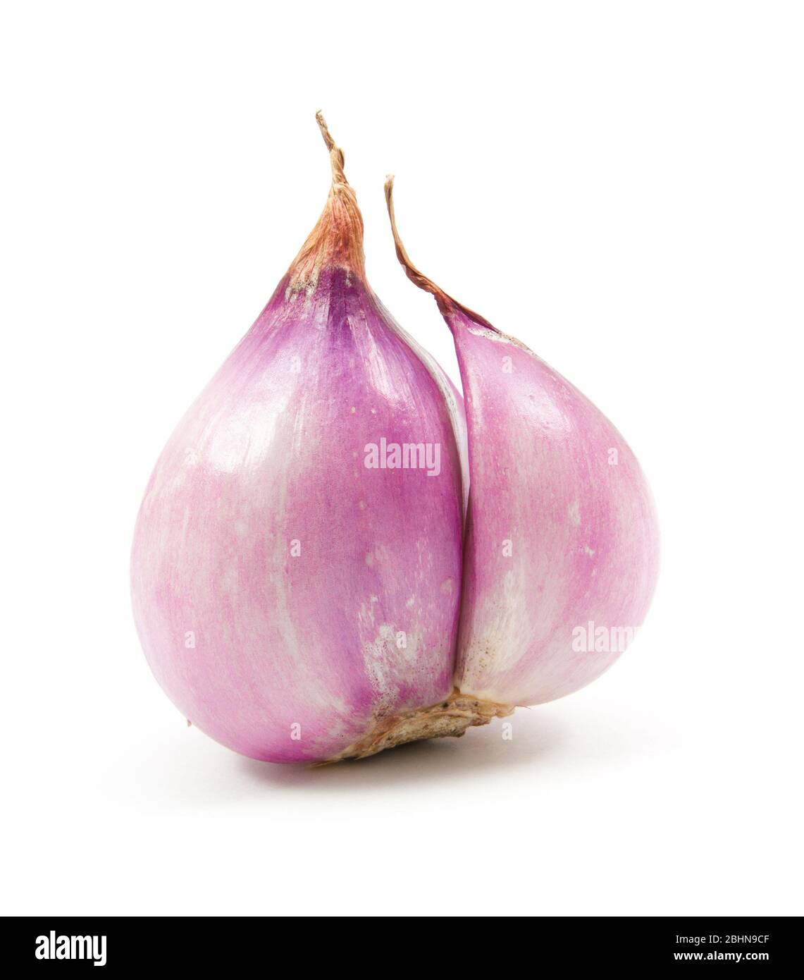 shallots isolated on white background Stock Photo - Alamy