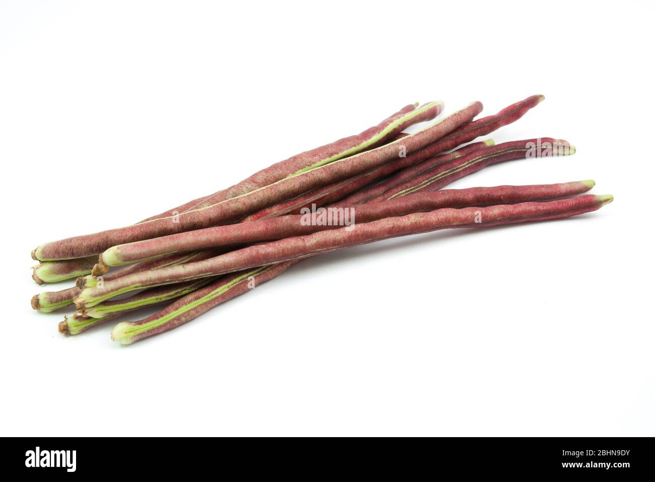 Purple beans plant Cut Out Stock Images & Pictures - Alamy