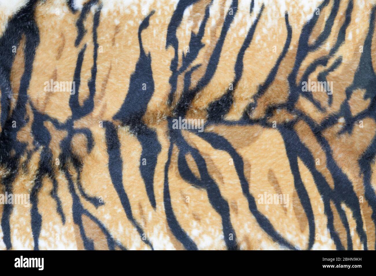 texture of tiger skin background Stock Photo - Alamy