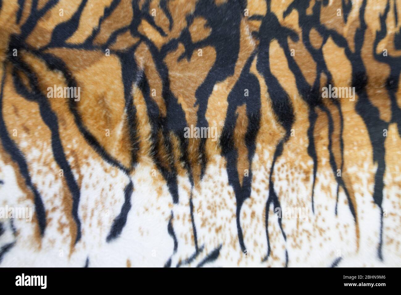 texture of tiger skin background Stock Photo - Alamy