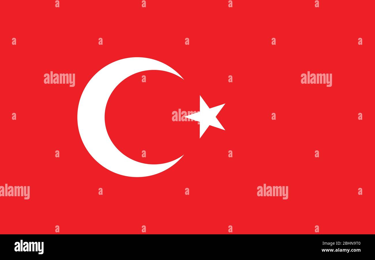 Turkey flag vector graphic. Rectangle Turkish flag illustration. Turkey ...