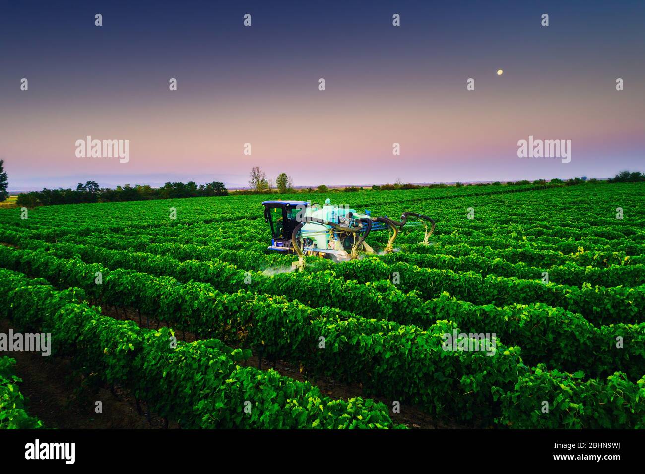 Tractor in rows grape vines hi-res stock photography and images - Alamy