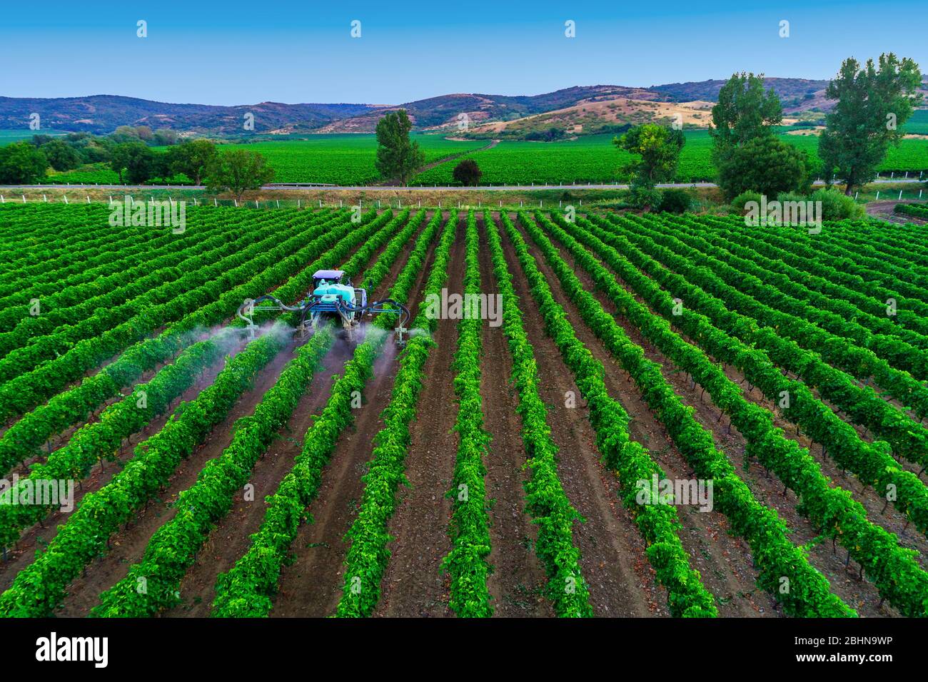 Tractor spraying vines over vineyard in Europe Stock Photo - Alamy