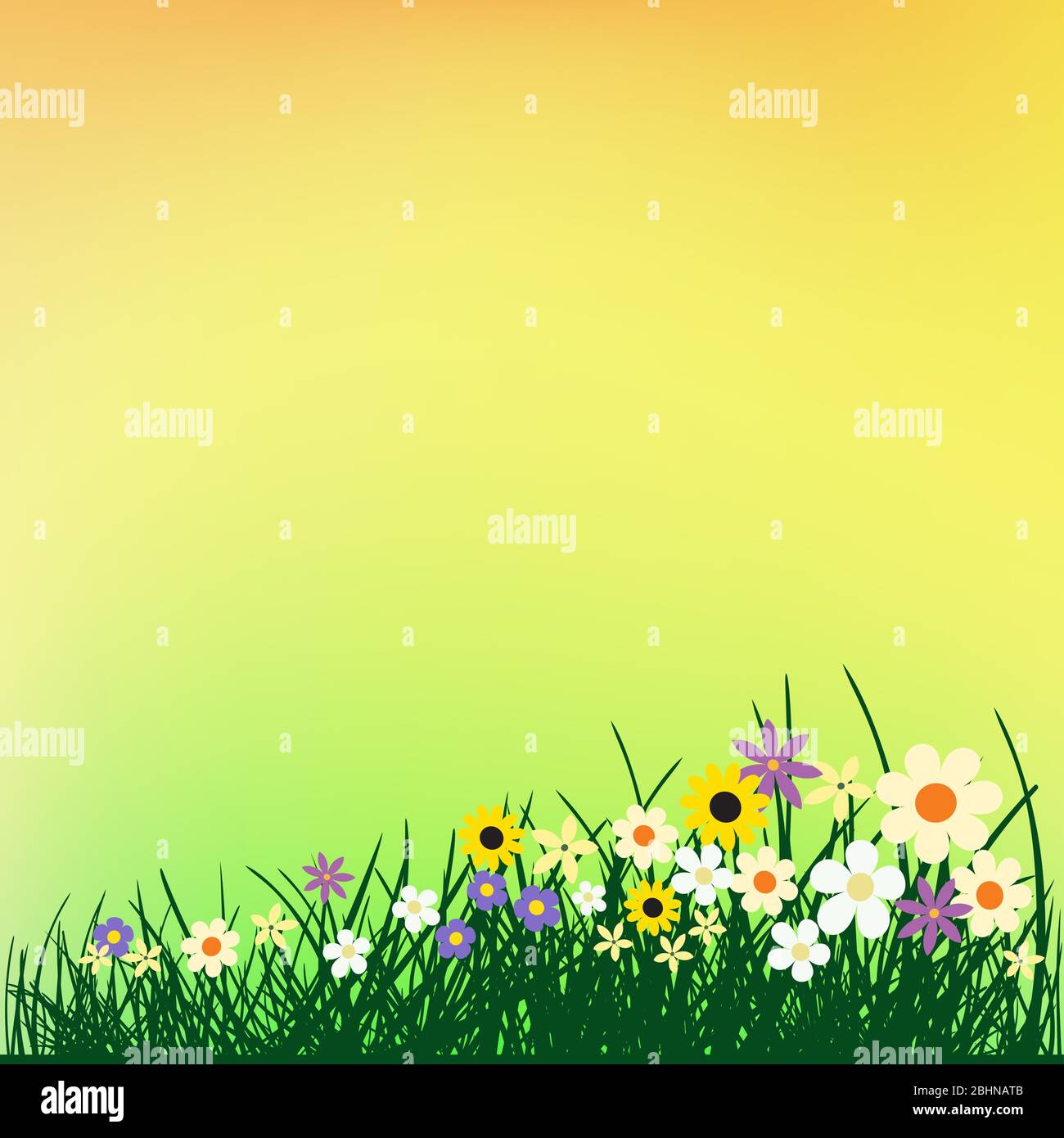 Yellow flowers on grass background Stock Vector Images - Alamy
