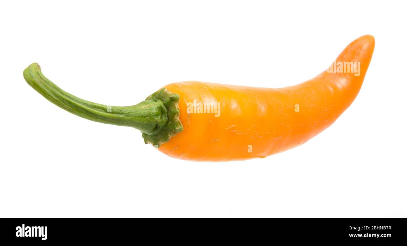 orange hot chili pepper isolated on a white background Stock Photo - Alamy