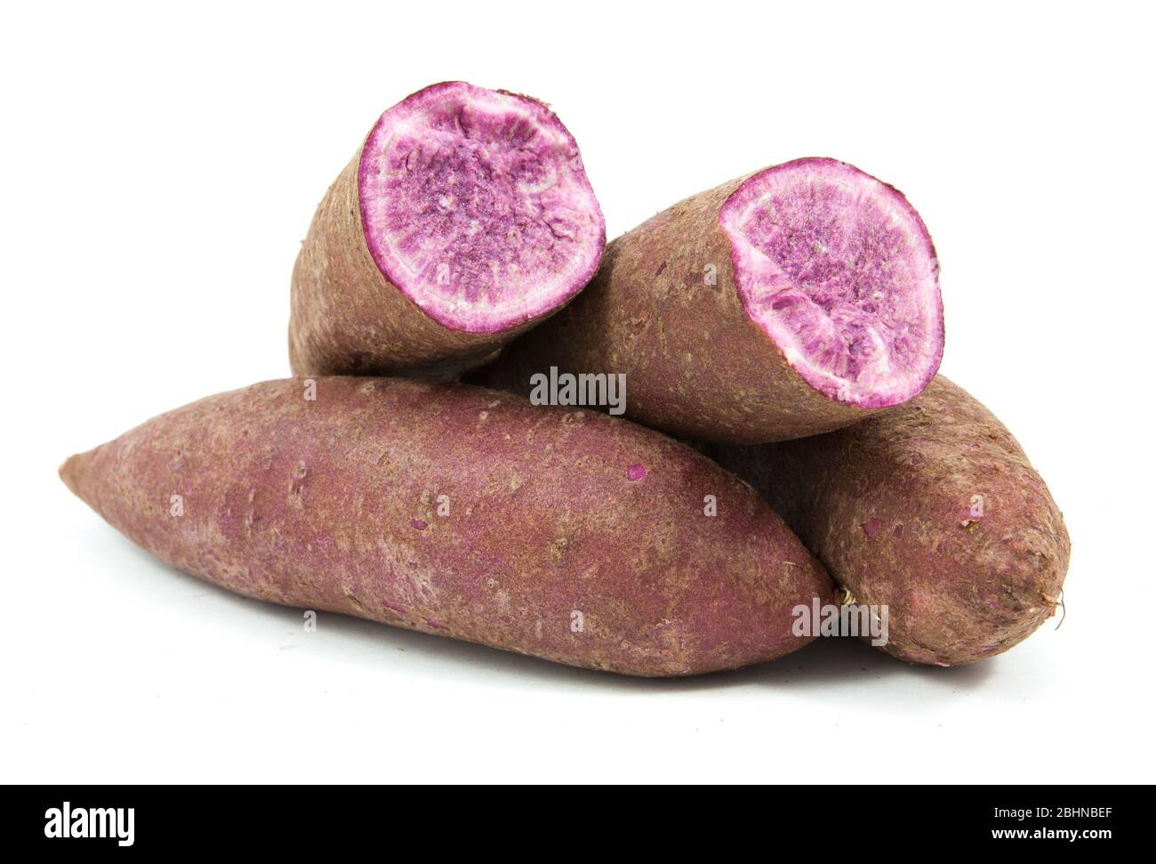 tapioca plants cassava closeup isolated on white background Stock Photo ...