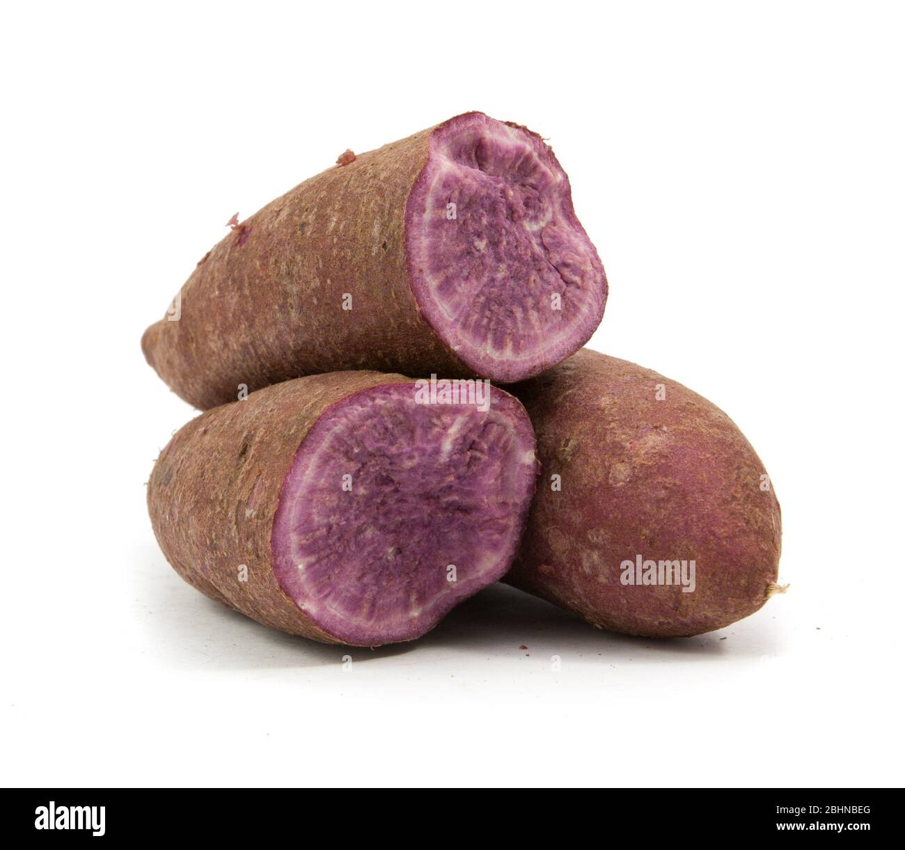 tapioca plants cassava closeup isolated on white background Stock Photo ...