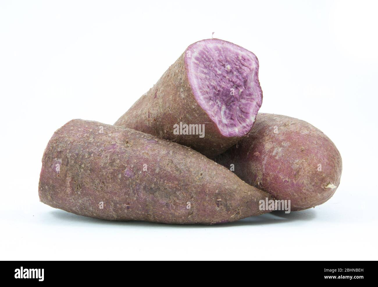 tapioca plants cassava closeup isolated on white background Stock Photo ...