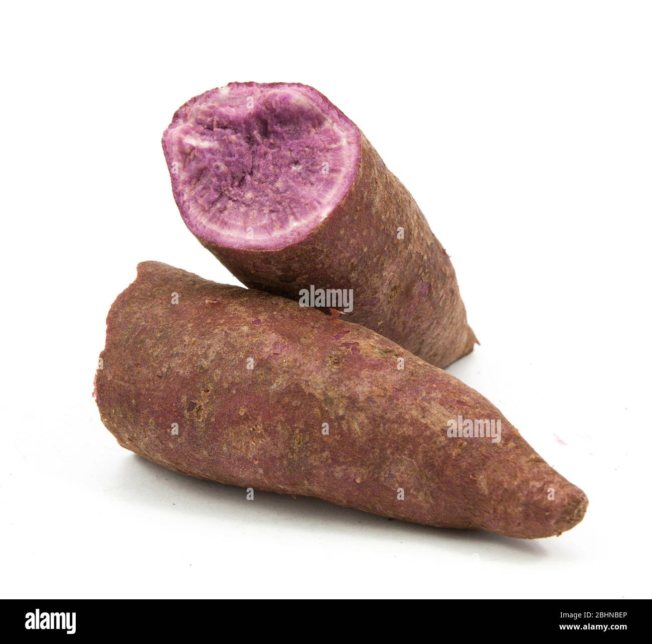 Tapioca Plants High Resolution Stock Photography and Images - Alamy